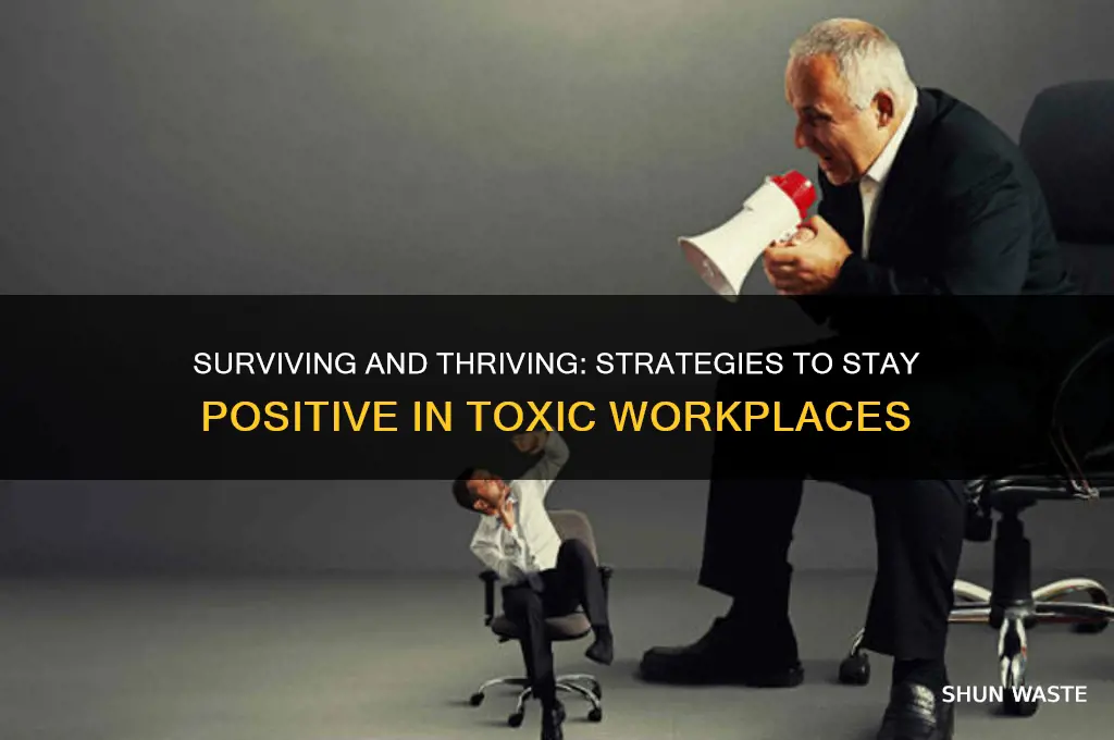 Surviving And Thriving: Strategies To Stay Positive In Toxic Workplaces ...