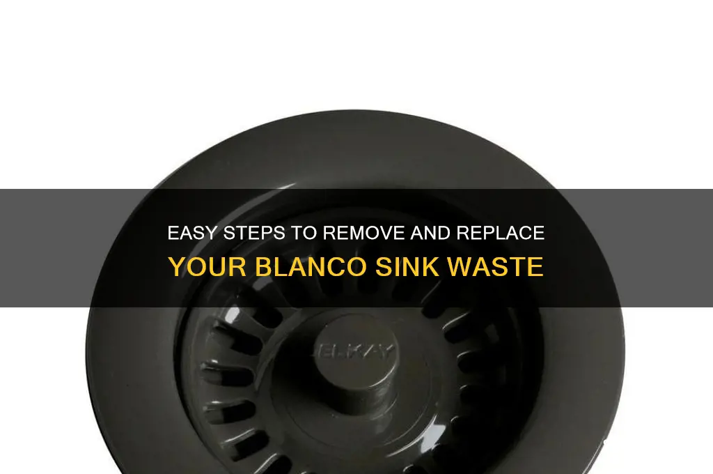 Easy Steps To Remove And Replace Your Blanco Sink Waste | ShunWaste