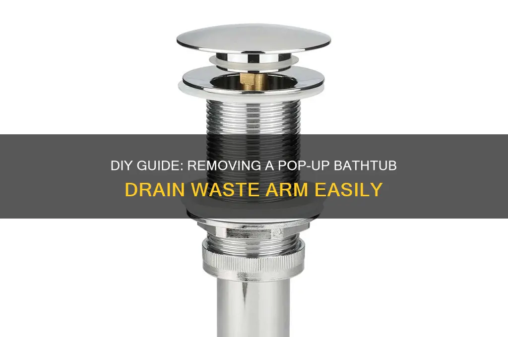 Diy Guide: Removing A Pop-Up Bathtub Drain Waste Arm Easily | ShunWaste