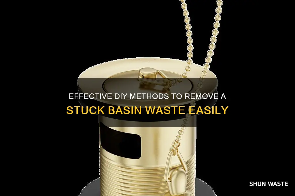 Effective Diy Methods To Remove A Stuck Basin Waste Easily | ShunWaste