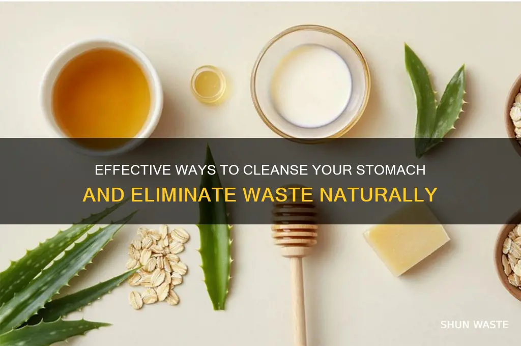 Effective Ways To Cleanse Your Stomach And Eliminate Waste Naturally ...