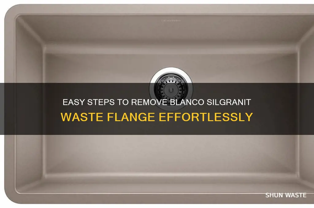 Easy Steps To Remove Blanco Silgranit Waste Flange Effortlessly | ShunWaste