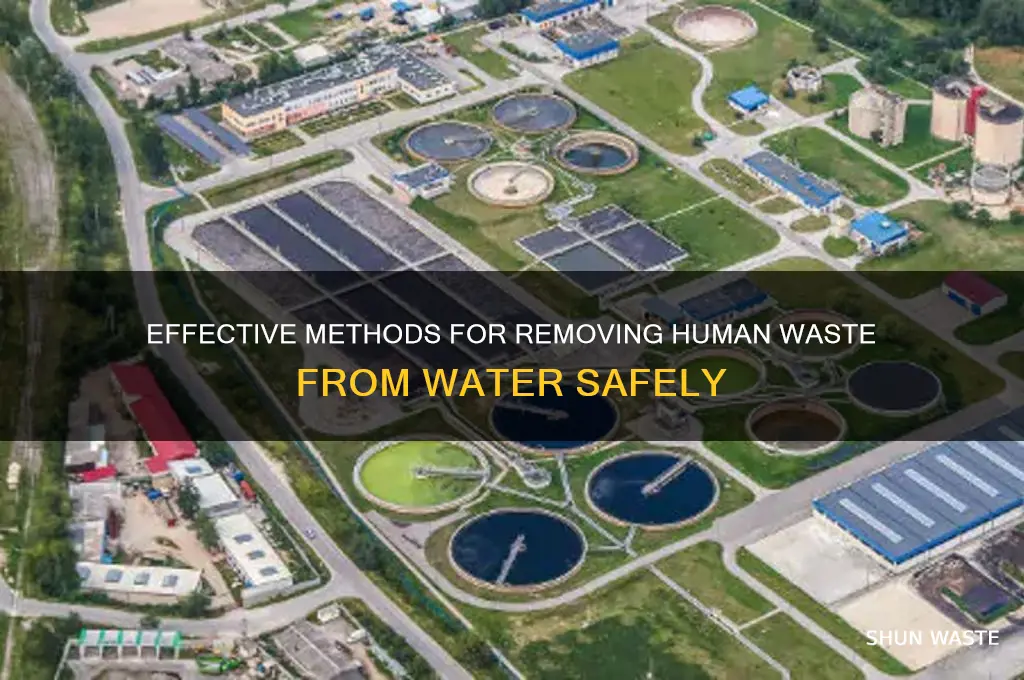 Effective Methods For Removing Human Waste From Water Safely | ShunWaste