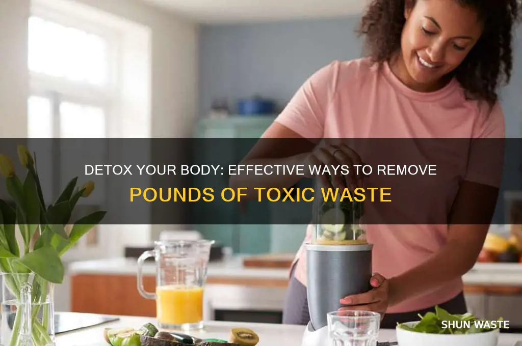 Detox Your Body: Effective Ways To Remove Pounds Of Toxic Waste | ShunWaste