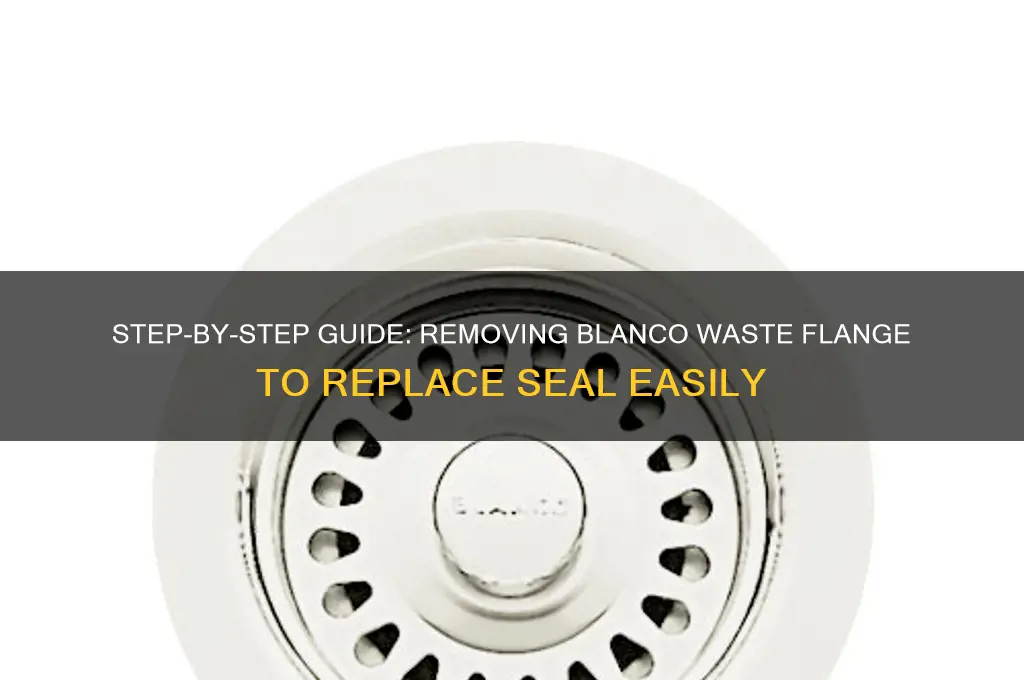 Step-By-Step Guide: Removing Blanco Waste Flange To Replace Seal Easily ...