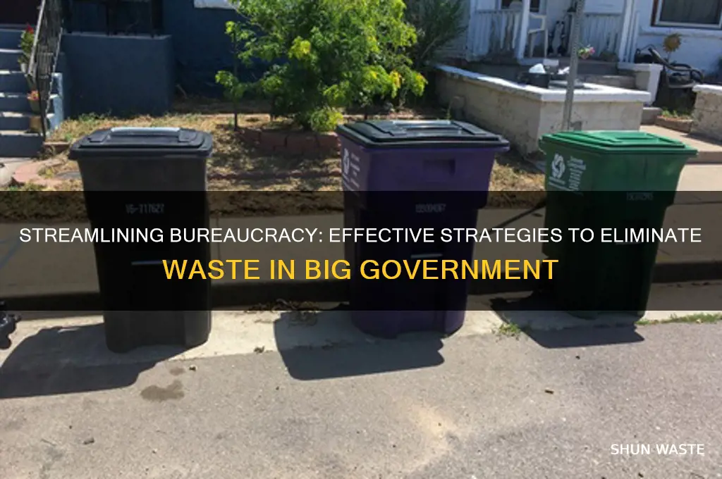 Streamlining Bureaucracy: Effective Strategies To Eliminate Waste In ...