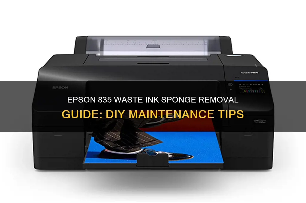 Epson 835 Waste Ink Sponge Removal Guide: Diy Maintenance Tips | ShunWaste