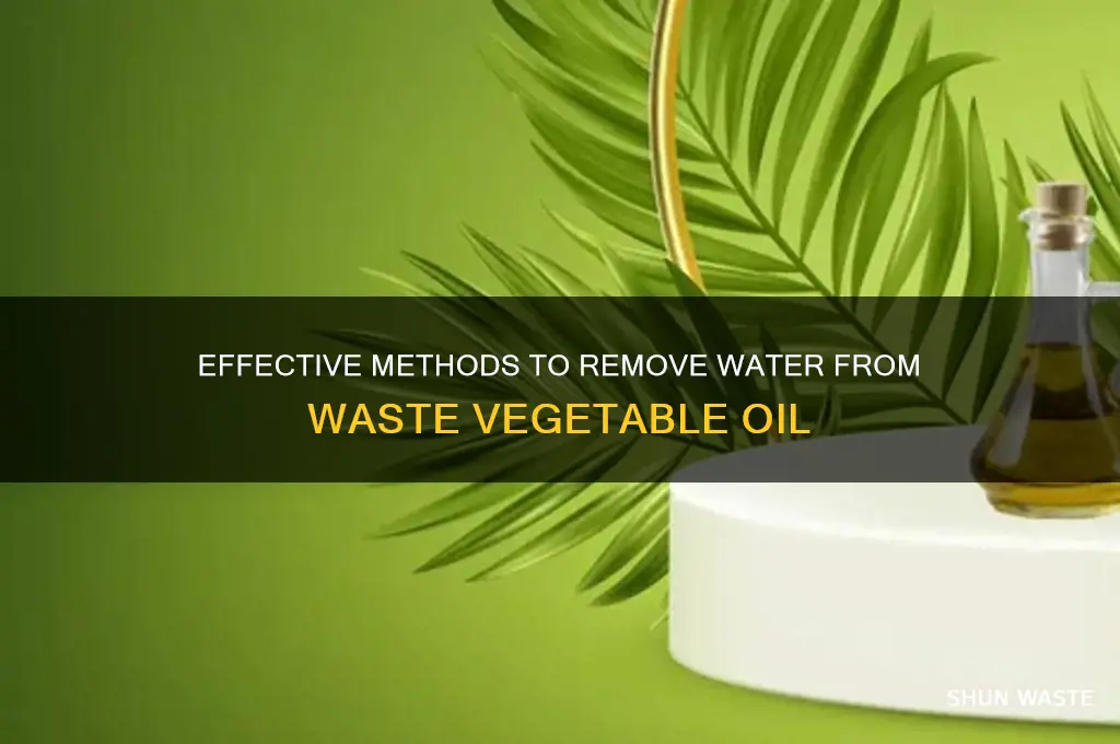 Effective Methods To Remove Water From Waste Vegetable Oil | ShunWaste