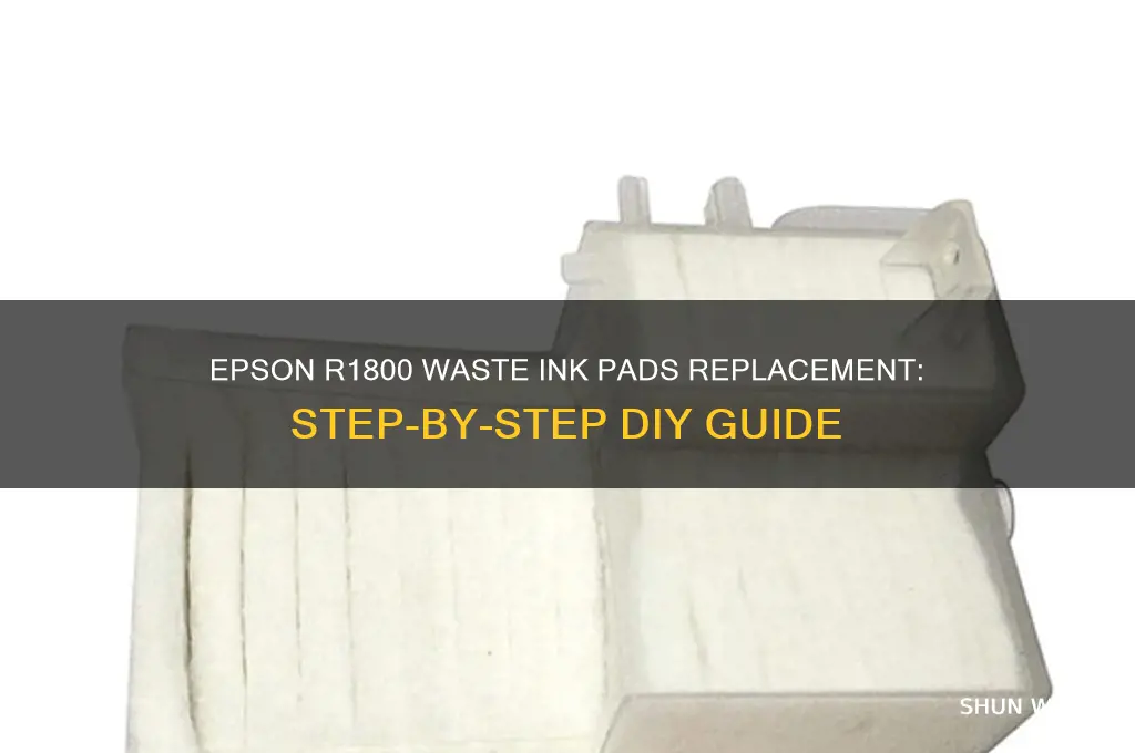 Epson R1800 Waste Ink Pads Replacement: Step-By-Step Diy Guide | ShunWaste