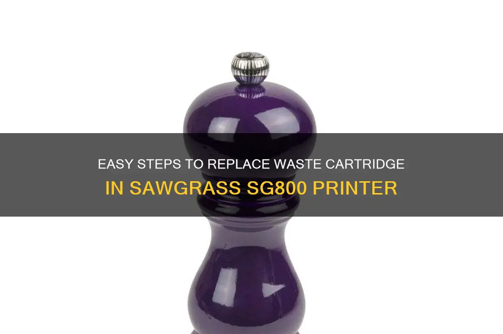 Easy Steps To Replace Waste Cartridge In Sawgrass Sg800 Printer | ShunWaste