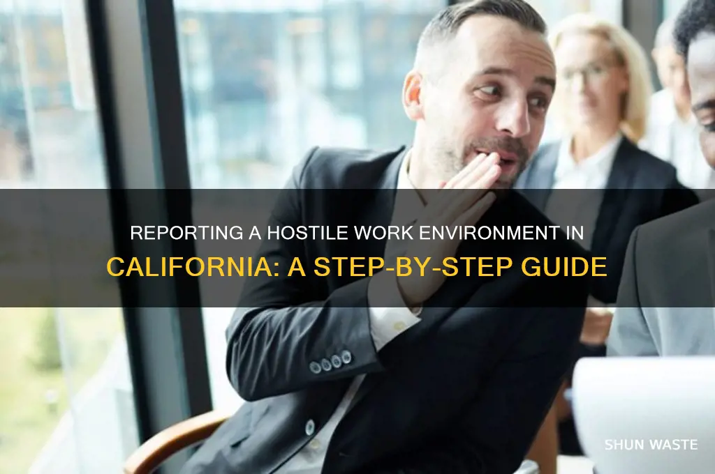 Reporting A Hostile Work Environment In California: A Step-By-Step ...