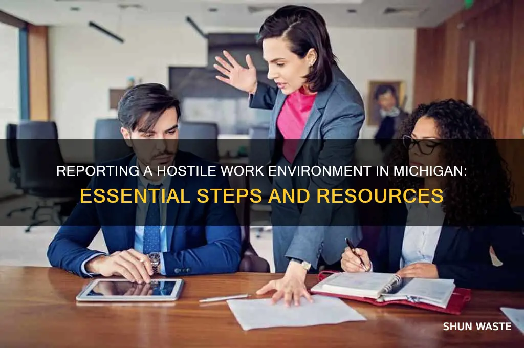Reporting A Hostile Work Environment In Michigan: Essential Steps And ...