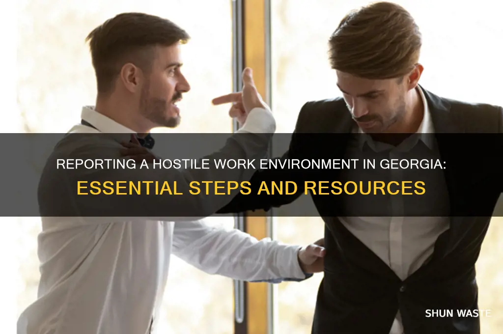 Reporting A Hostile Work Environment In Georgia: Essential Steps And ...
