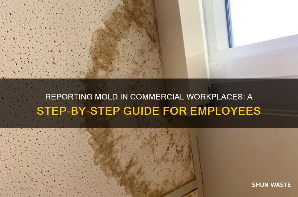 Reporting Mold In Commercial Workplaces: A Step-By-Step Guide For ...