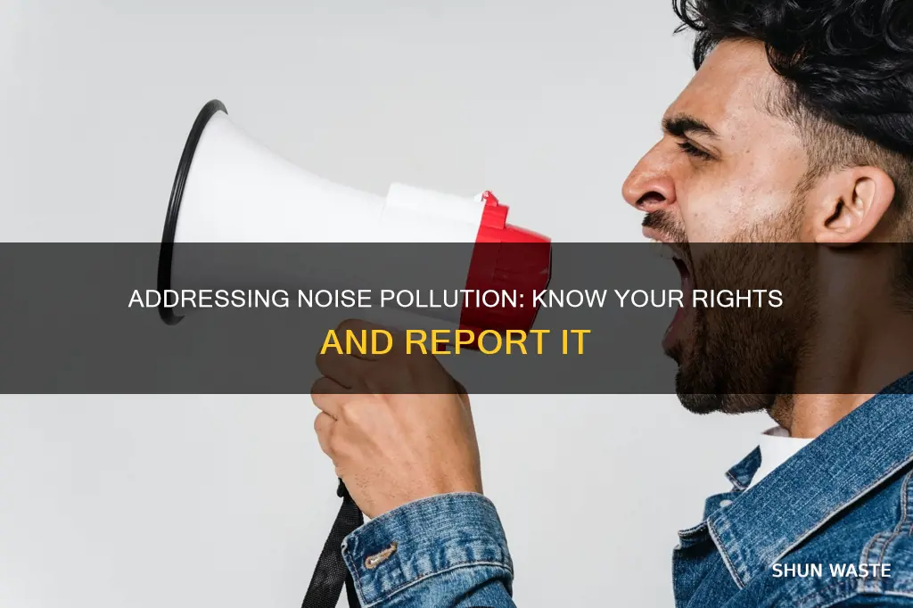 Addressing Noise Pollution: Know Your Rights And Report It | ShunWaste
