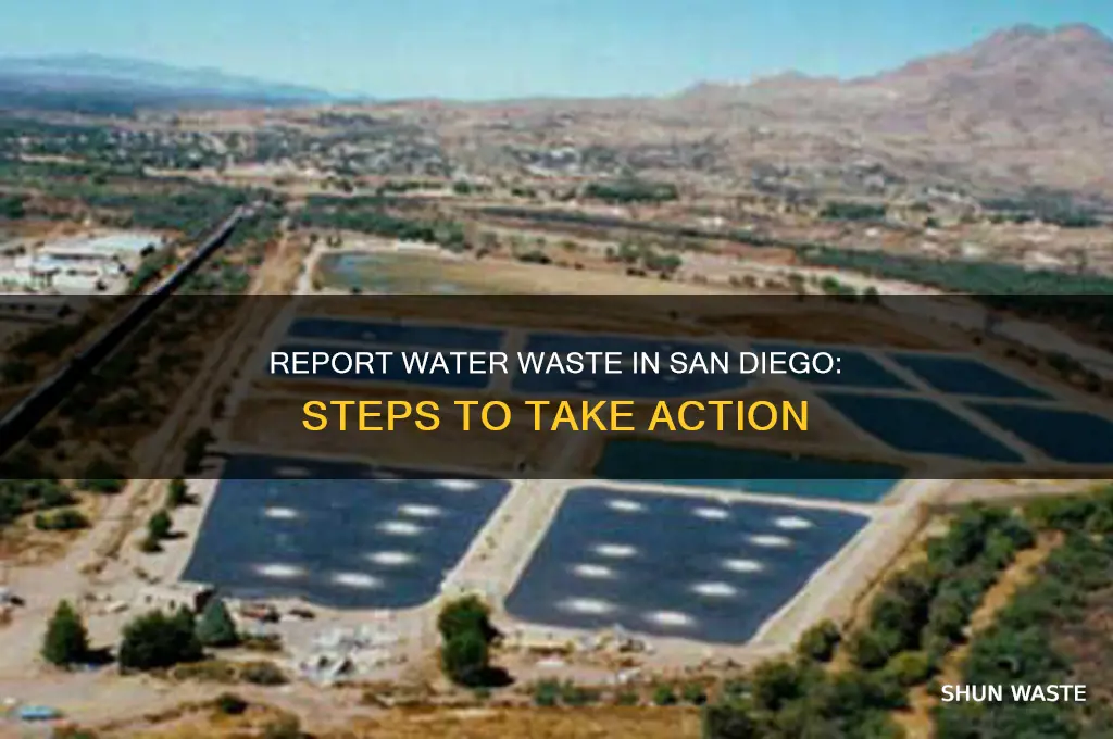 Report Water Waste In San Diego: Steps To Take Action | ShunWaste