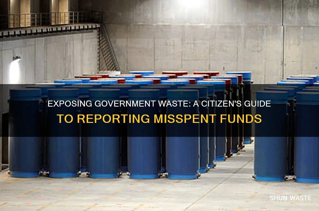 Exposing Government Waste: A Citizen's Guide To Reporting Misspent ...