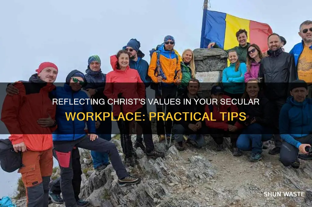 Reflecting Christ's Values In Your Secular Workplace: Practical Tips ...