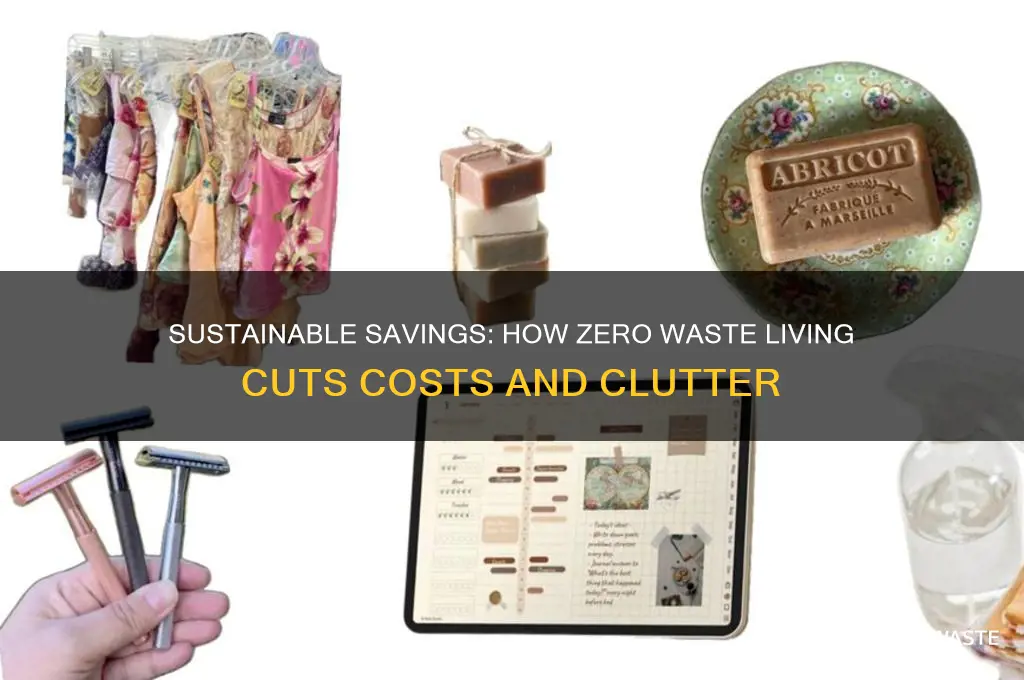 Sustainable Savings: How Zero Waste Living Cuts Costs And Clutter ...