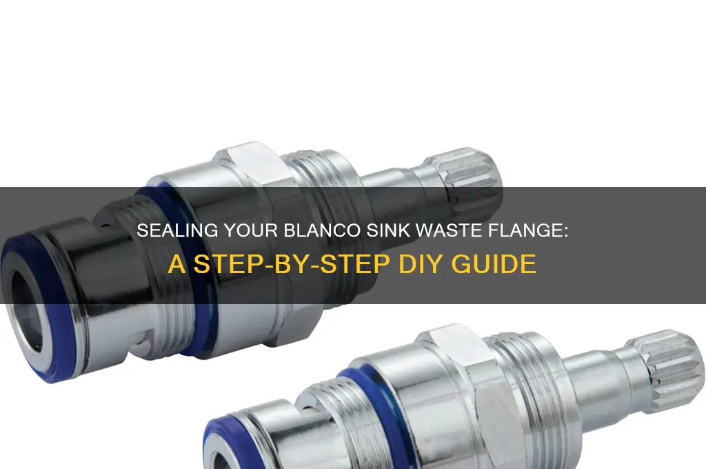 Sealing Your Blanco Sink Waste Flange: A Step-By-Step Diy Guide | ShunWaste