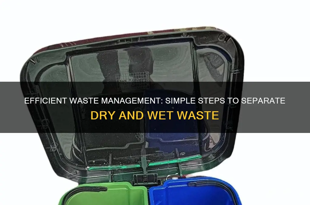 Efficient Waste Management: Simple Steps To Separate Dry And Wet Waste ...
