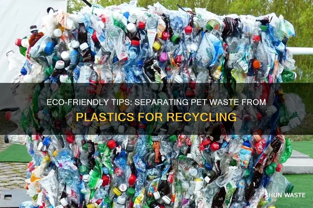 Eco-Friendly Tips: Separating Pet Waste From Plastics For Recycling ...
