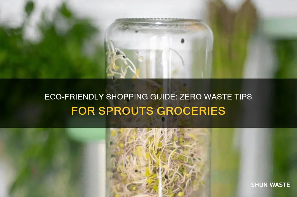 Eco-Friendly Shopping Guide: Zero Waste Tips For Sprouts Groceries ...