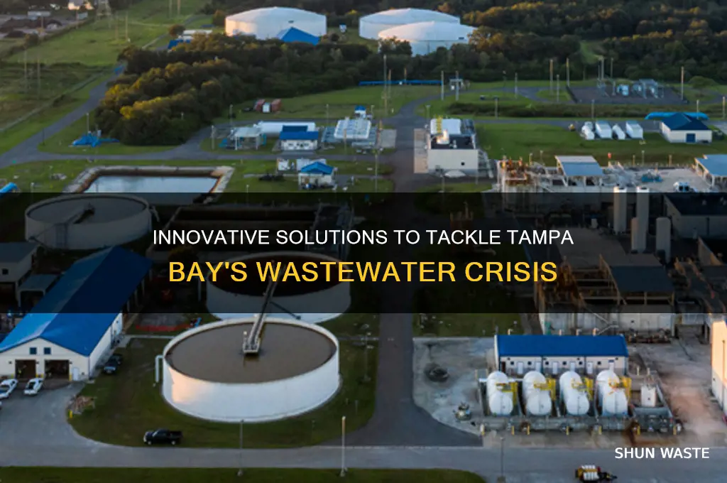 Innovative Solutions To Tackle Tampa Bay's Wastewater Crisis | ShunWaste