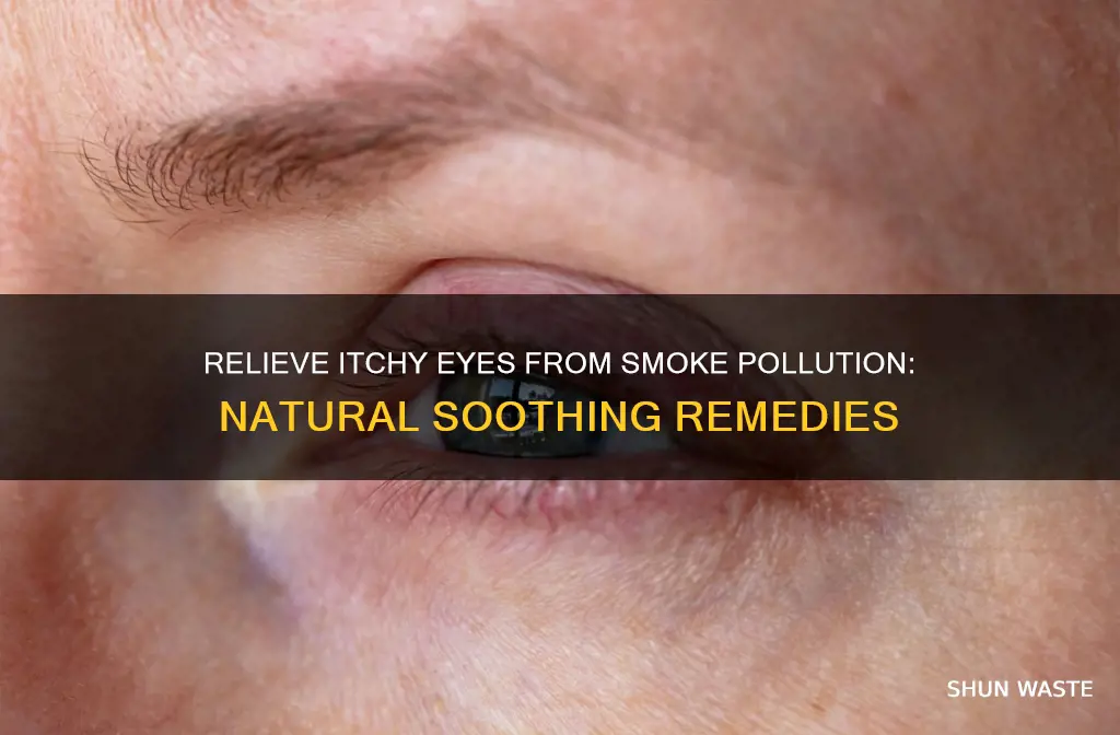 Relieve Itchy Eyes From Smoke Pollution: Natural Soothing Remedies ...
