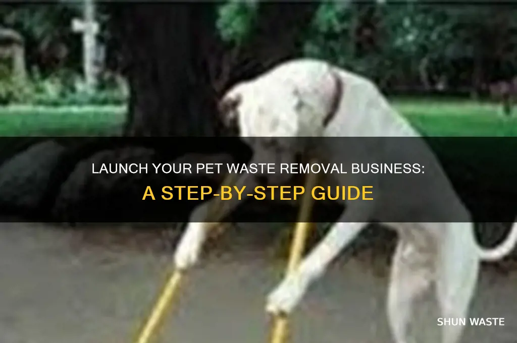 Launch Your Pet Waste Removal Business: A Step-By-Step Guide | ShunWaste
