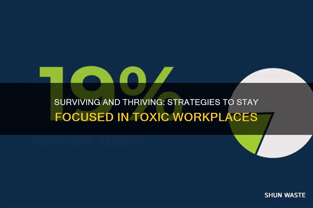 Surviving And Thriving: Strategies To Stay Focused In Toxic Workplaces ...