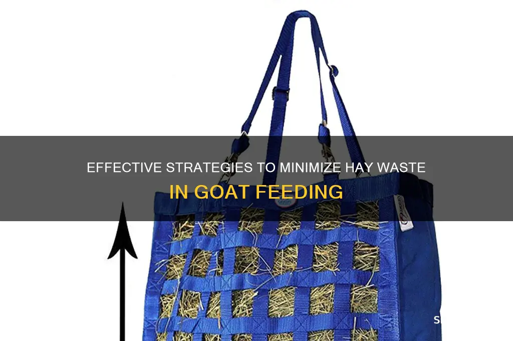 Effective Strategies To Minimize Hay Waste In Goat Feeding | ShunWaste