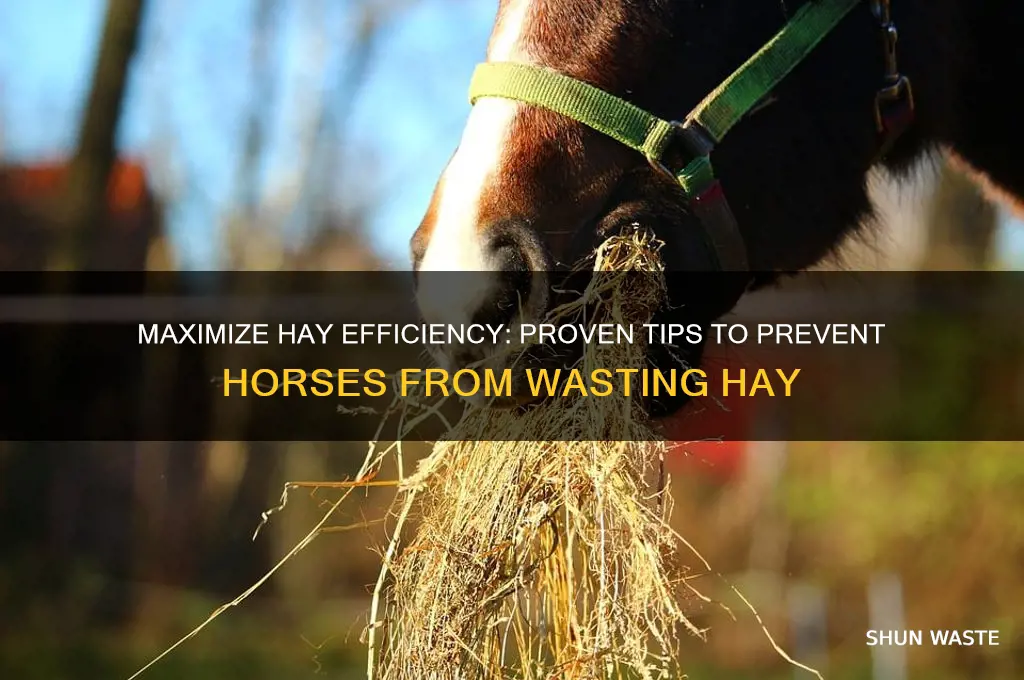 Maximize Hay Efficiency: Proven Tips To Prevent Horses From Wasting Hay ...