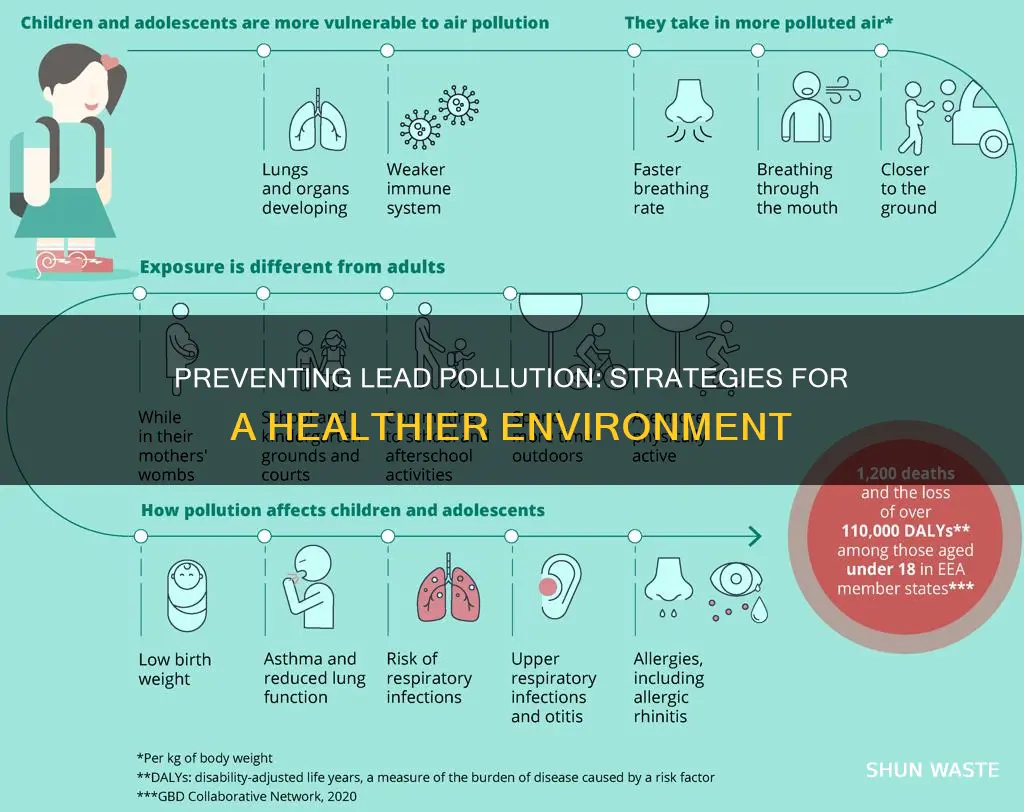Preventing Lead Pollution: Strategies For A Healthier Environment ...