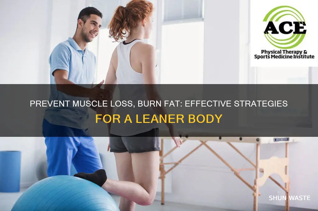 Prevent Muscle Loss, Burn Fat: Effective Strategies For A Leaner Body ...