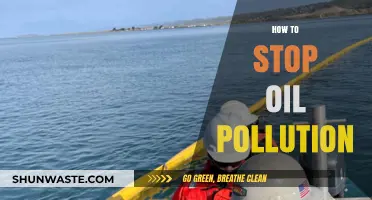 Preventing Oil Pollution: Ocean Protection Strategies | ShunWaste