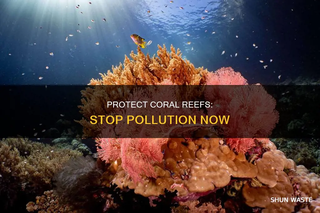 Protect Coral Reefs: Stop Pollution Now | ShunWaste
