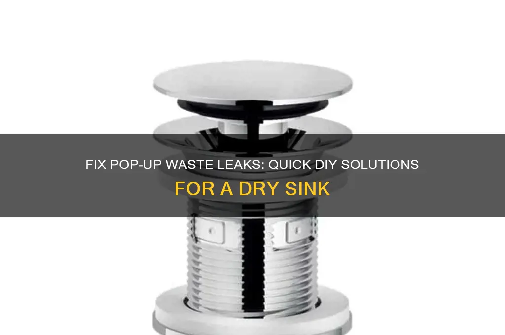 Fix Pop-Up Waste Leaks: Quick Diy Solutions For A Dry Sink | ShunWaste