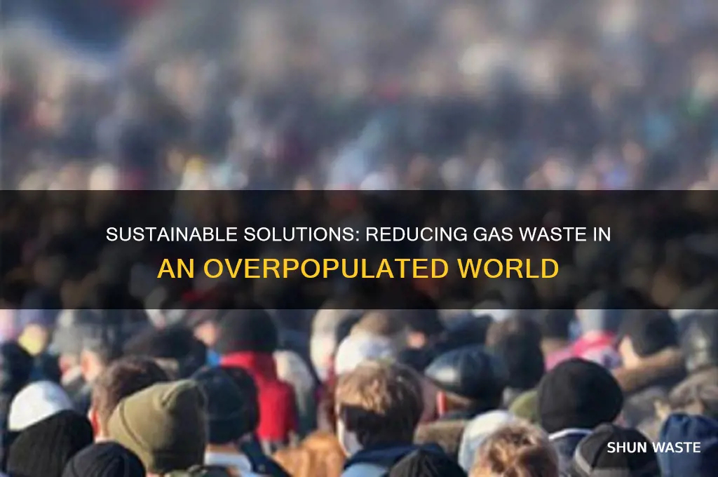Sustainable Solutions: Reducing Gas Waste In An Overpopulated World ...