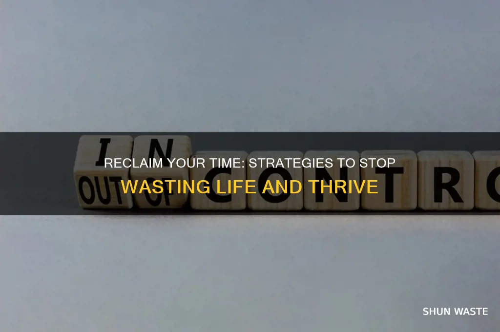 Reclaim Your Time: Strategies To Stop Wasting Life And Thrive | ShunWaste