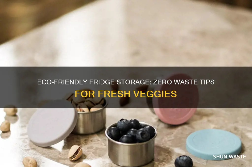 Eco-Friendly Fridge Storage: Zero Waste Tips For Fresh Veggies | ShunWaste