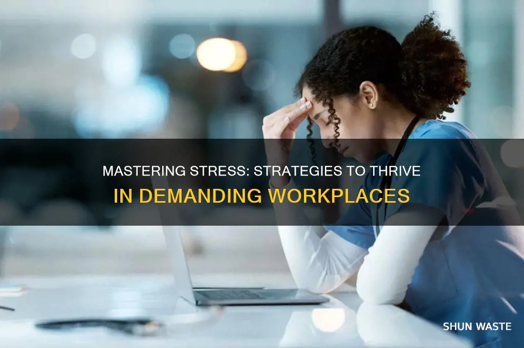 Mastering Stress: Strategies To Thrive In Demanding Workplaces | ShunWaste