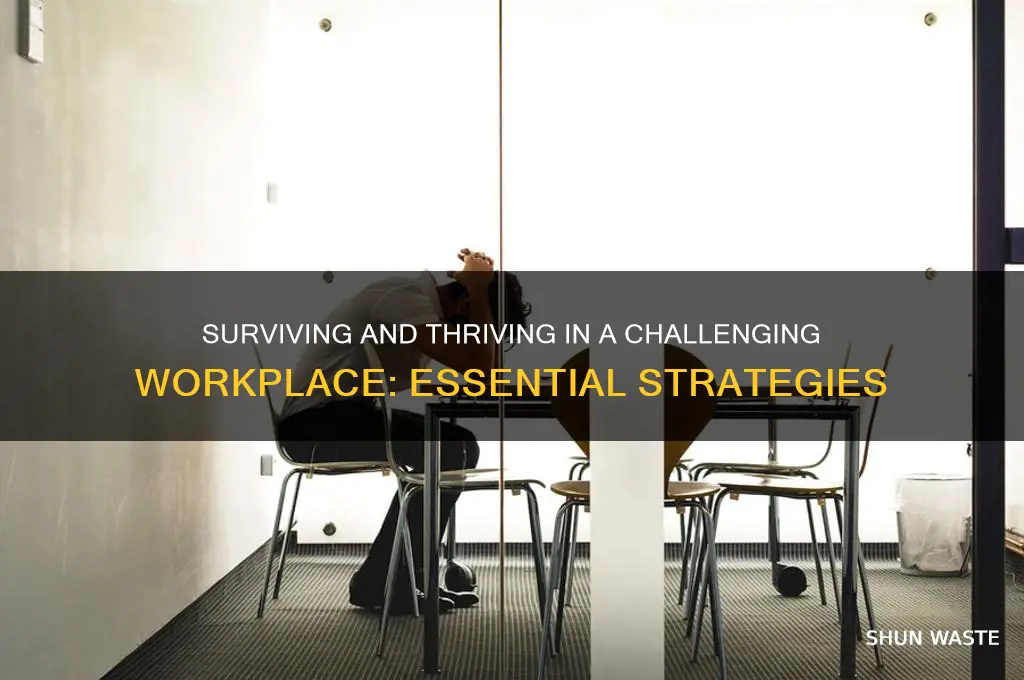 Surviving And Thriving In A Challenging Workplace: Essential Strategies ...