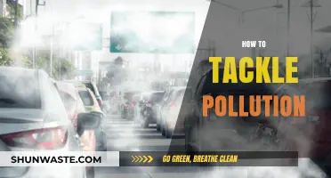Pollution Basics: Teaching Grade 3 Students | ShunWaste
