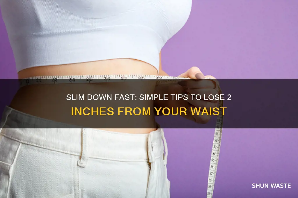 Slim Down Fast: Simple Tips To Lose 2 Inches From Your Waist | ShunWaste