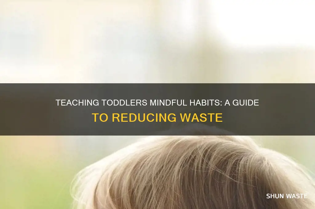 Teaching Toddlers Mindful Habits: A Guide To Reducing Waste | ShunWaste