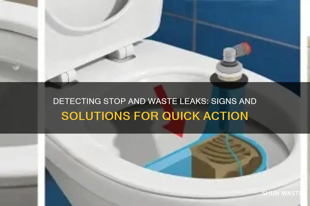 Detecting Stop And Waste Leaks: Signs And Solutions For Quick Action ...