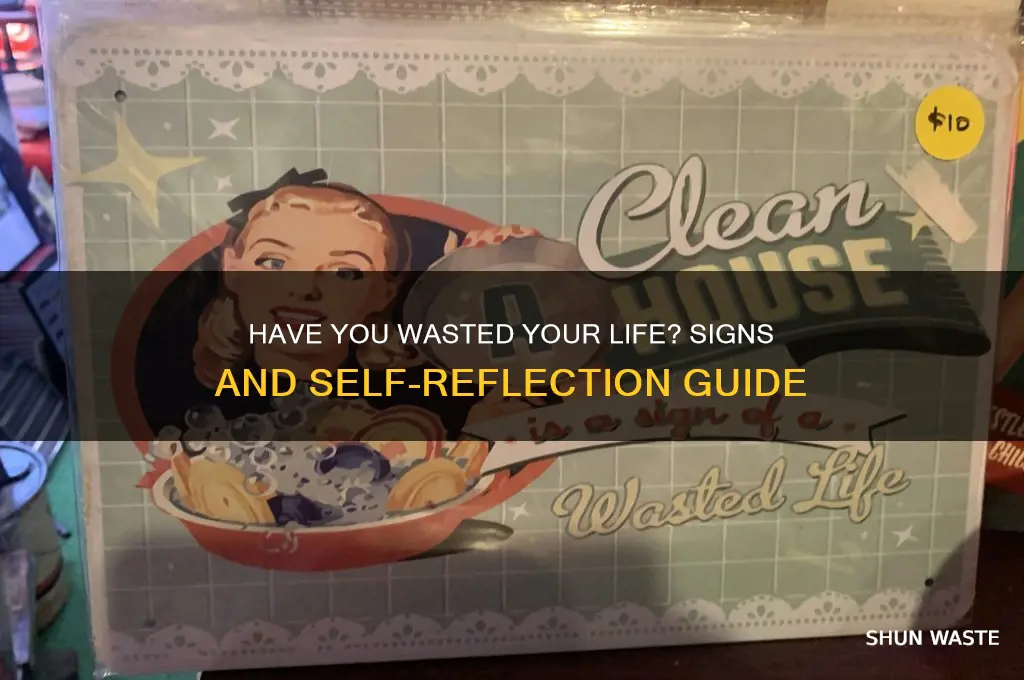 Have You Wasted Your Life? Signs And Self-Reflection Guide | ShunWaste