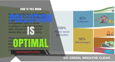 Pollution Basics: Teaching Grade 3 Students | ShunWaste