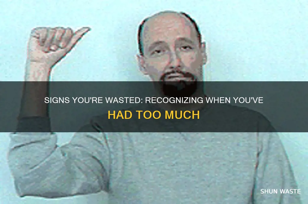 Signs You're Wasted: Recognizing When You've Had Too Much | ShunWaste